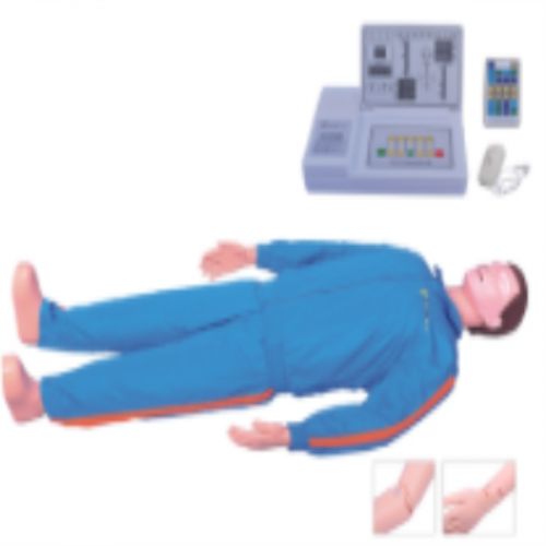 Medical Human Body Model Half Body CPR Training Model(Male) Cpr ...