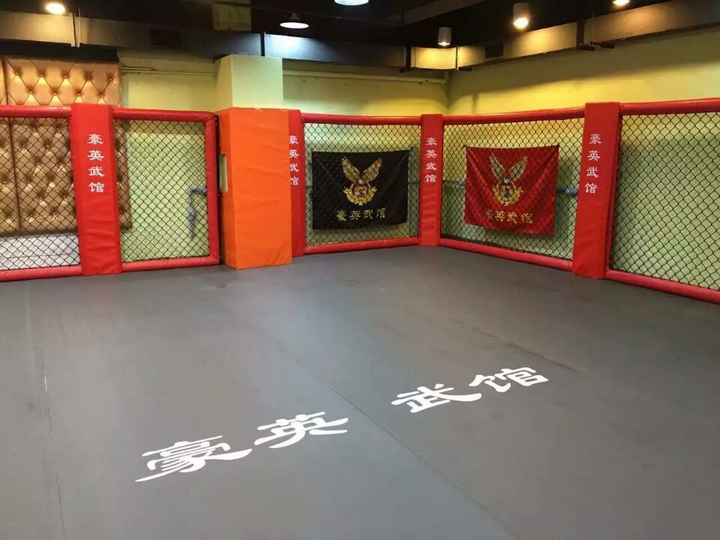MMA Cage Panel Wall - Durable and Customizable Solutions