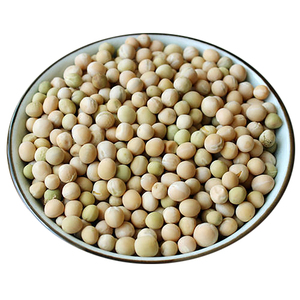 Wholesale Maple Pea Of Diverse Nutritional Benefits - Alibaba.com