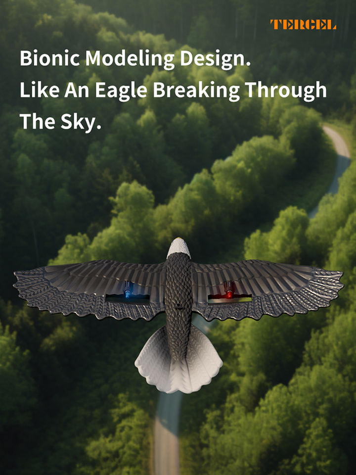 Easy to Control 2CH RC Eagle Aircraft, Tri-Mode EPP Foam Plane with ...