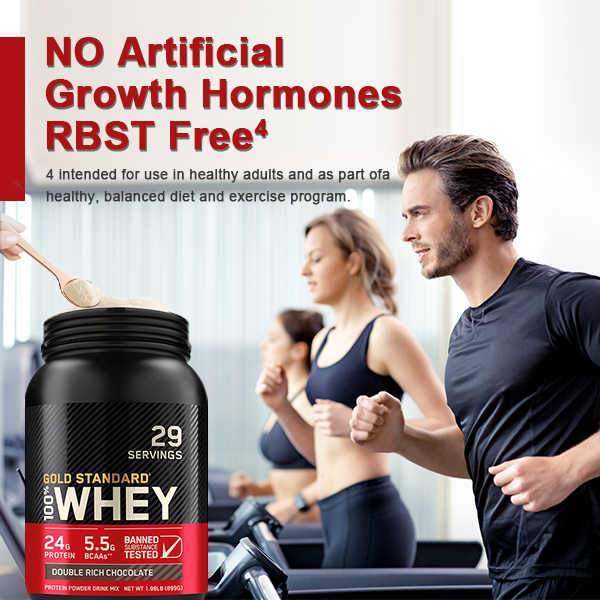 Wholesale Whey Protein Powder for Muscle Mass Optimum Nutrition