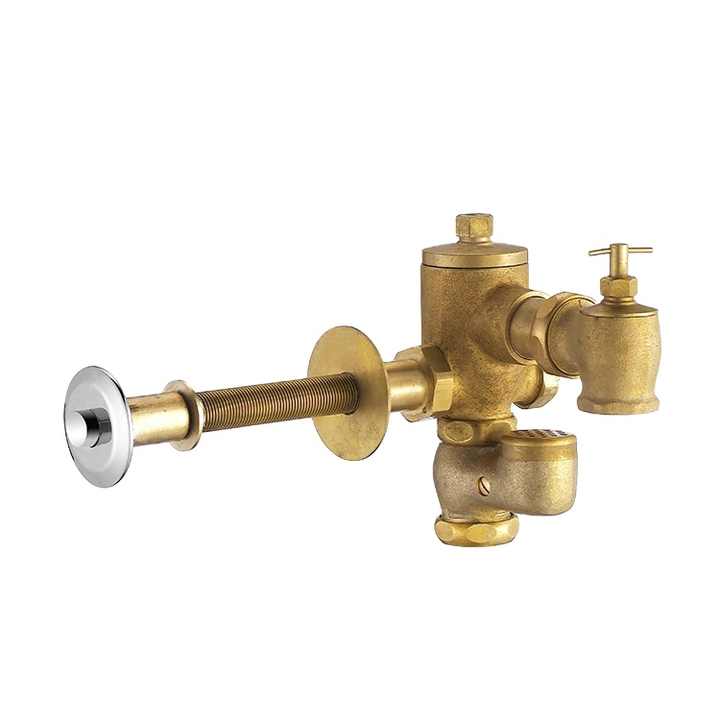 Professional Manufacture Wall Mounted Flush Valve Toilet Push Button ...