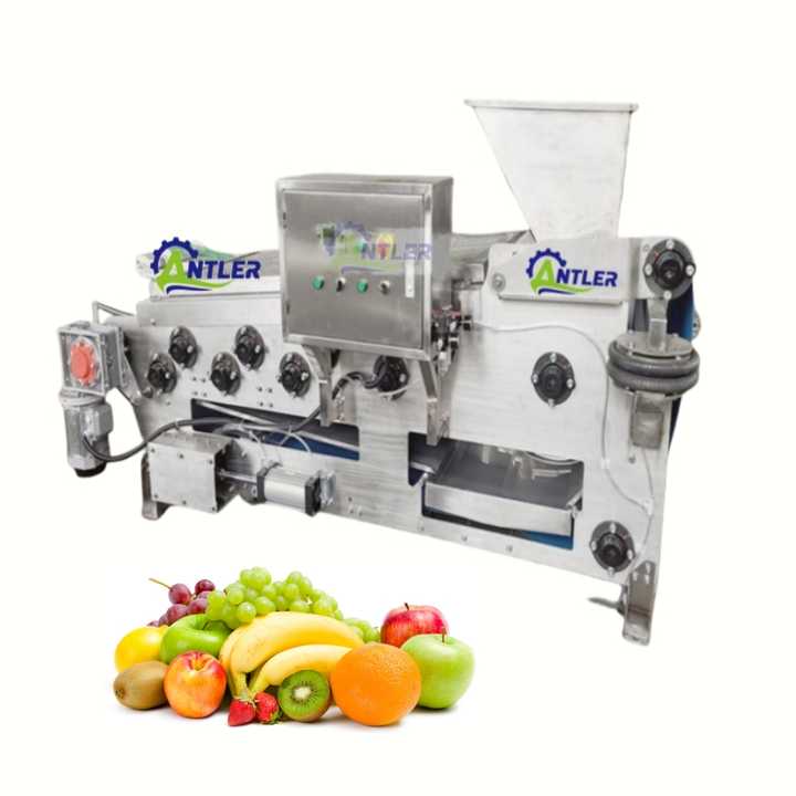 Professional Juicer Extractor Machine Cold Press Crusher and Juicer ...