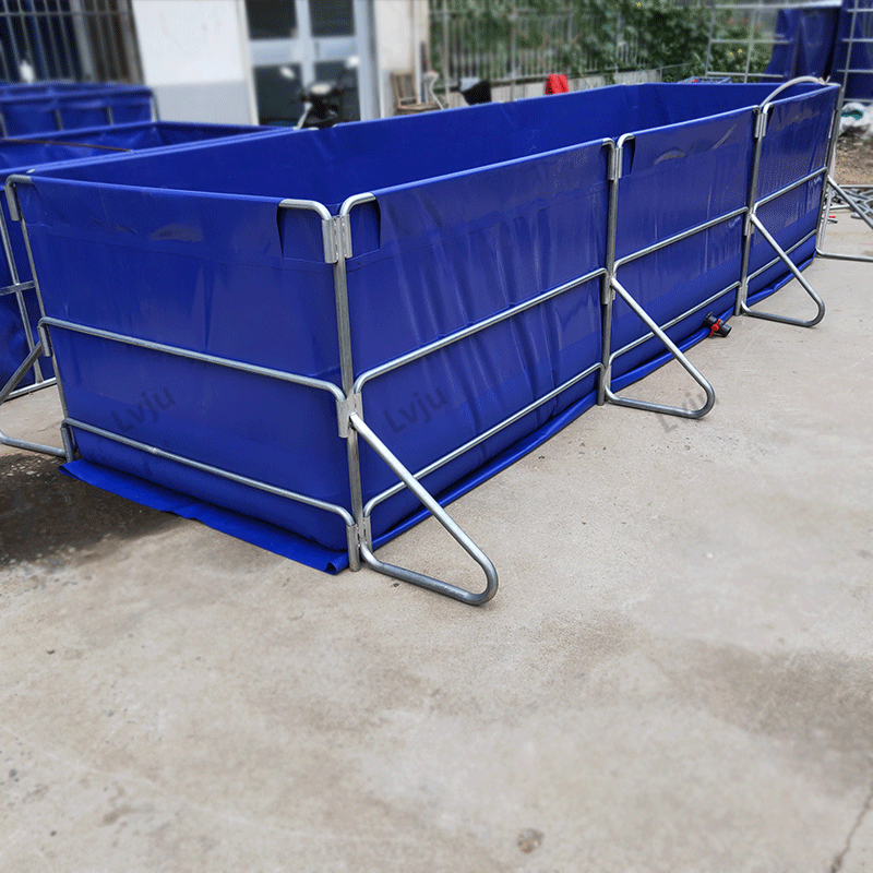 Steel Pipe Lobster Tank - Durable & Eco-Friendly Solutions