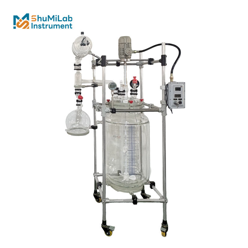 100L Jacketed Glass Reactor for Synthesis Lab Reactor Vessel for ...