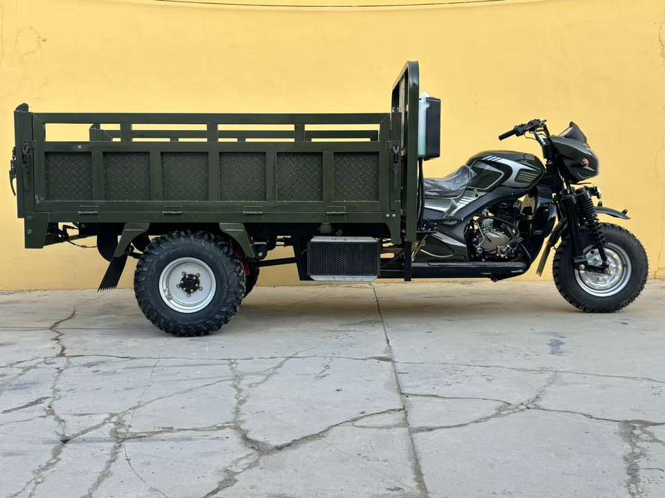 2025 China Hot Selling 300cc 1 Passenger Gasoline EEC Certified Cheap ...