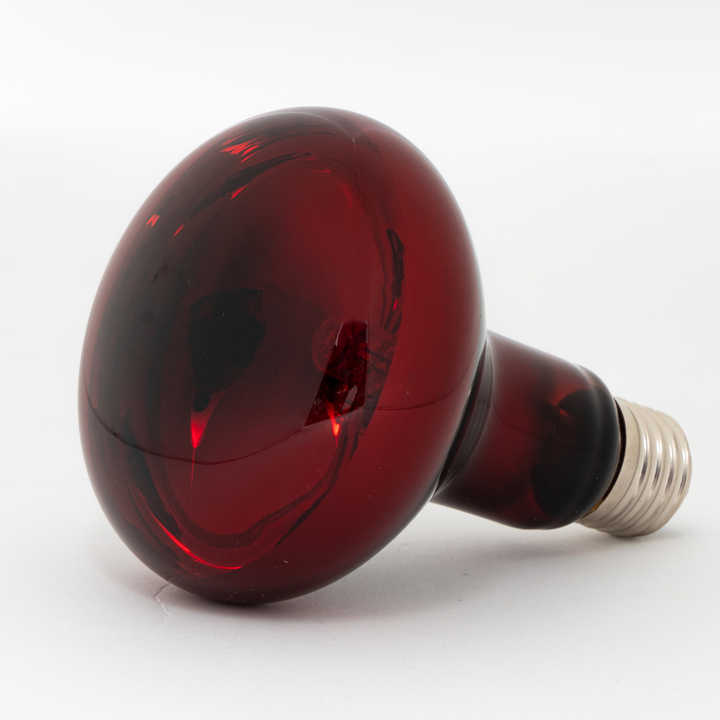 Halogen Infrared Bulb Heat Terrarium Lamp Light Uva Lamp Reptil Heat Spot Reptiles Heat Bulb for ...