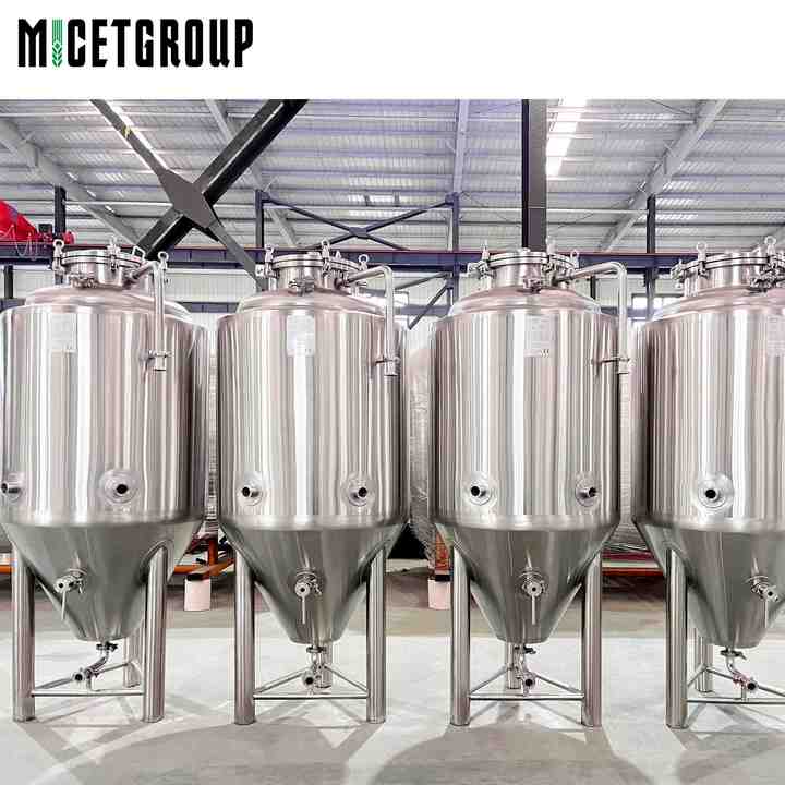 200L Ferment Tanks Small Conical Fermenter Craft Beer Stainless ...