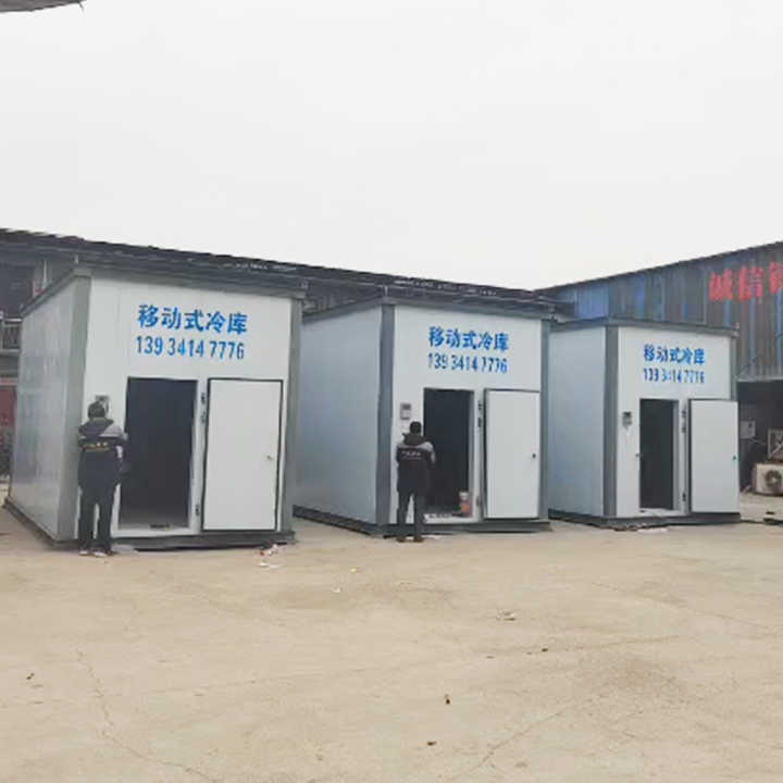 Industrial Cold Storage Unit, Cold Storage Machine, Storage Room ...