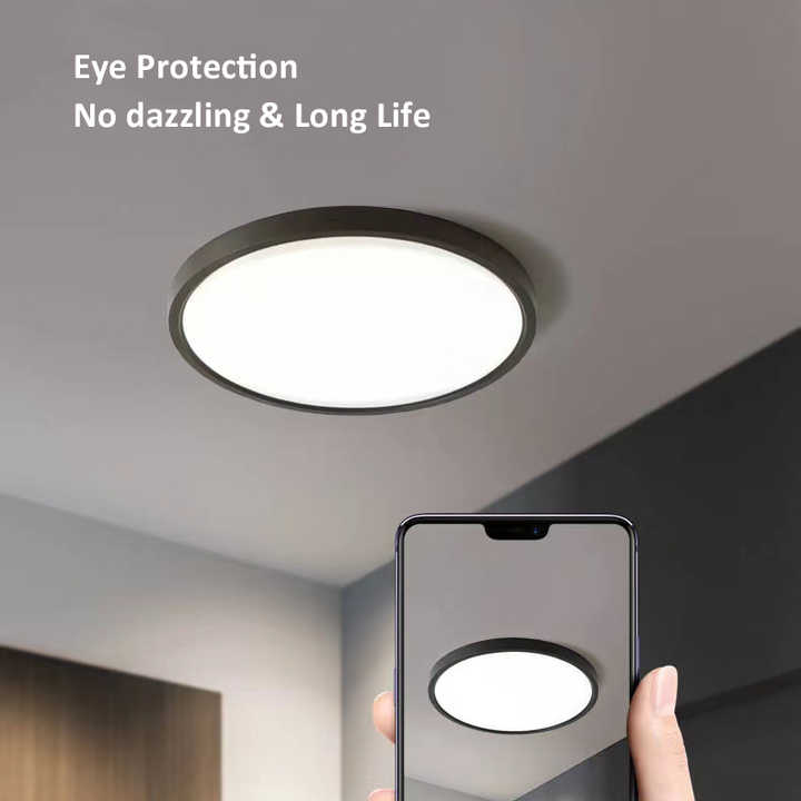 60W Modern LED Ceiling Lamp - Dimmable & Versatile Lighting
