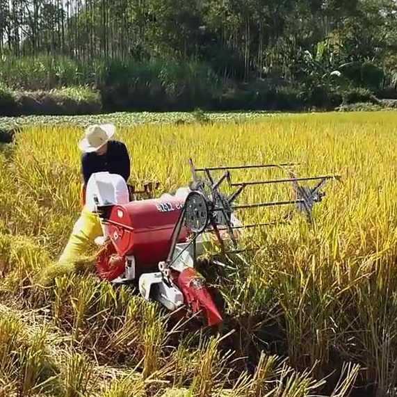 Rice Mini Combine Harvester - High Productivity & Efficiency