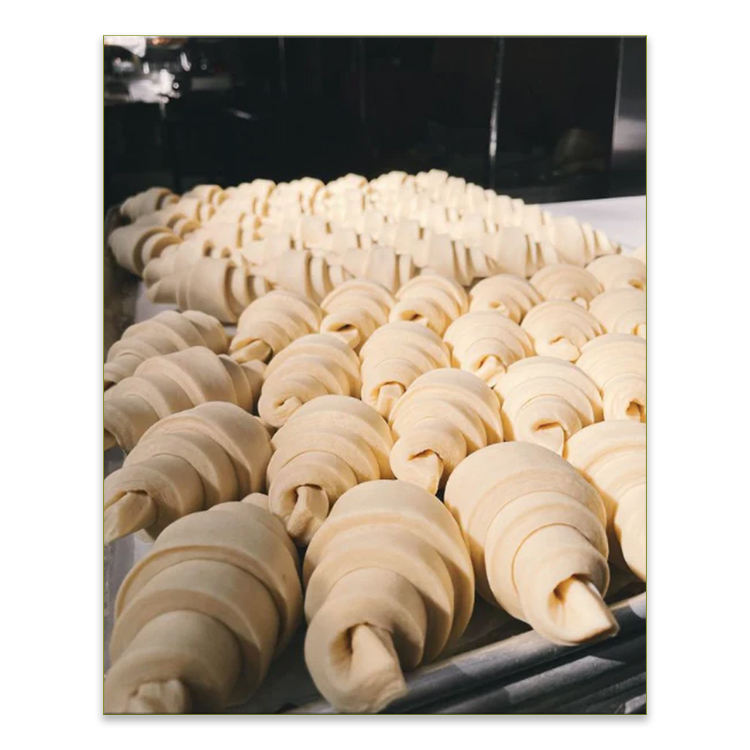 Frozen Croissant Production Line - High Performance & Easy Operation