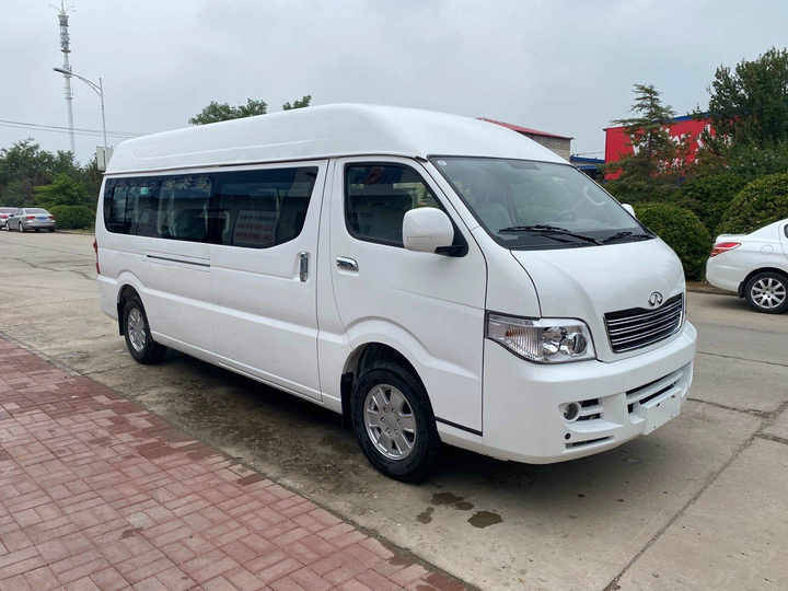 Buses and Minibuses Left Hand Drive - 17 Passenger Mini Bus for Sale