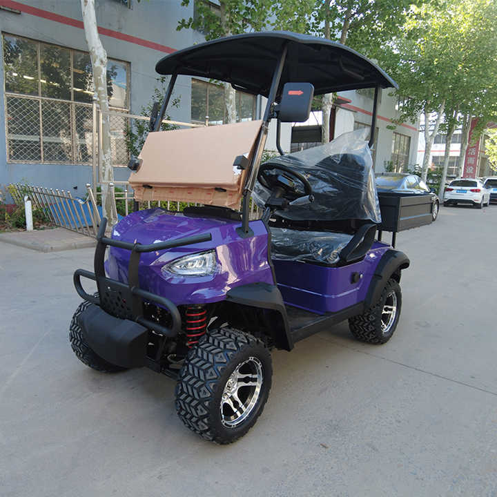 rainbow electric carts for disabled 48v jeep 2 seater small golf cart ...