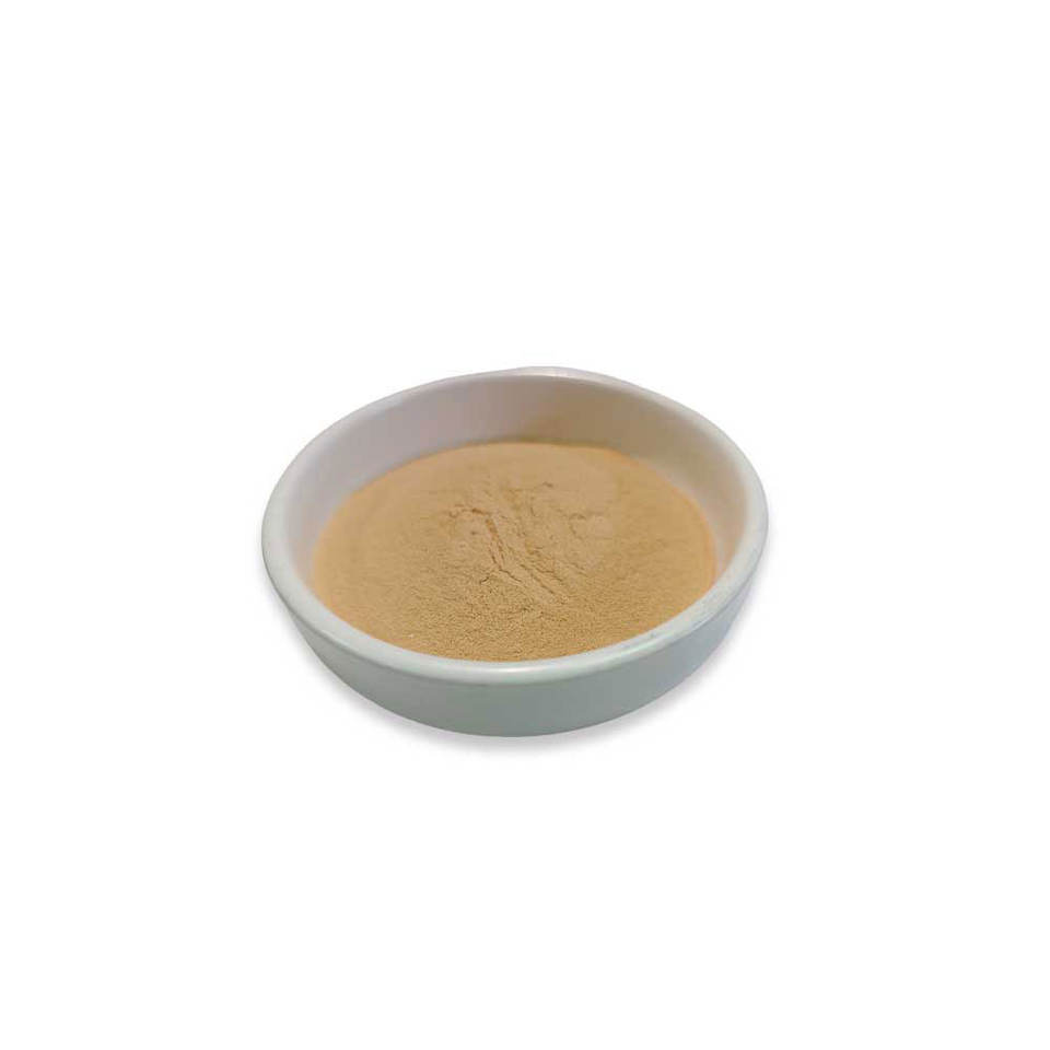 PGA Polyglutamic Acid Powder Water Retention Agent for Agriculture ...