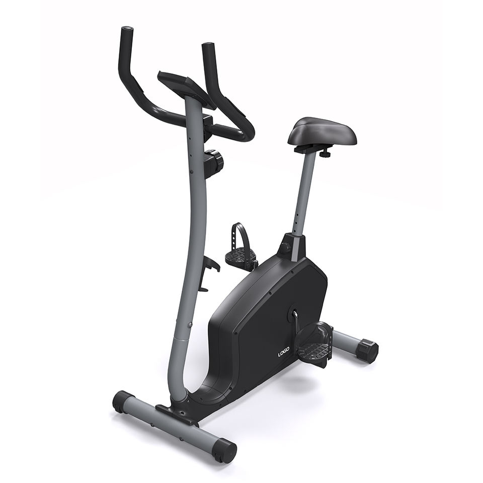 Popular Lexicon Home Upright Bike for Gym Use PP+Steel Material 130kg Capacity Quality Assurance ...