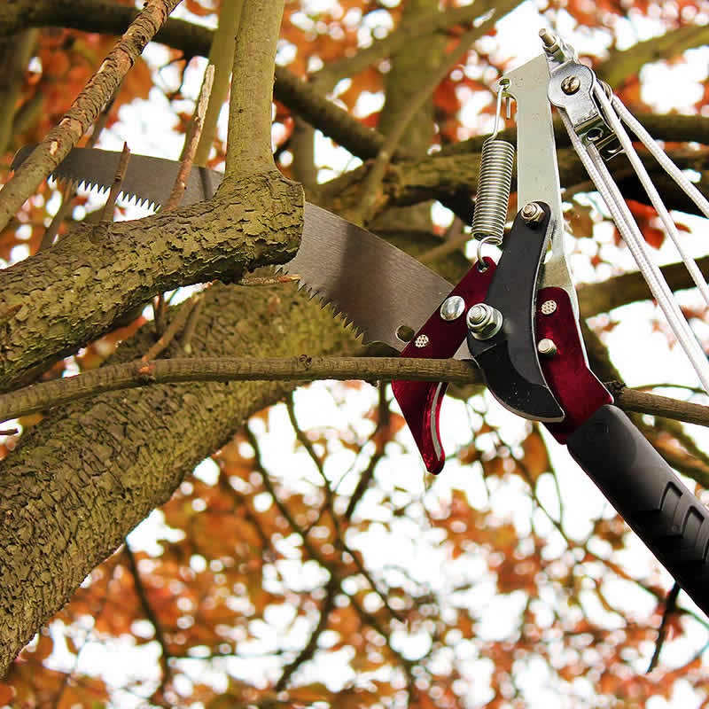 Light Weight Extendable Tree Branch Cutter Carbon Fiber Telescopic Tree ...