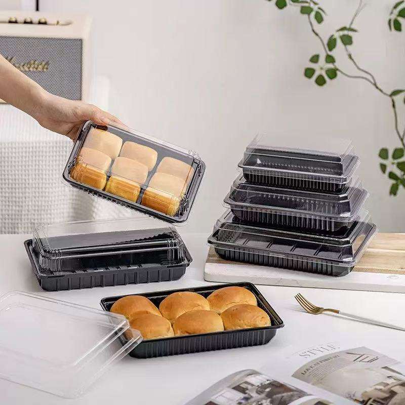 Disposable Blister Packaging for Pastries, Salads, and Profiteroles ...
