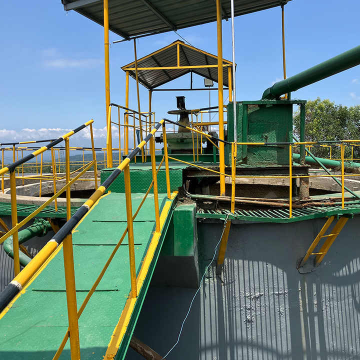 10TPD Gold Ore Purifying Process Plant - Customized Solutions