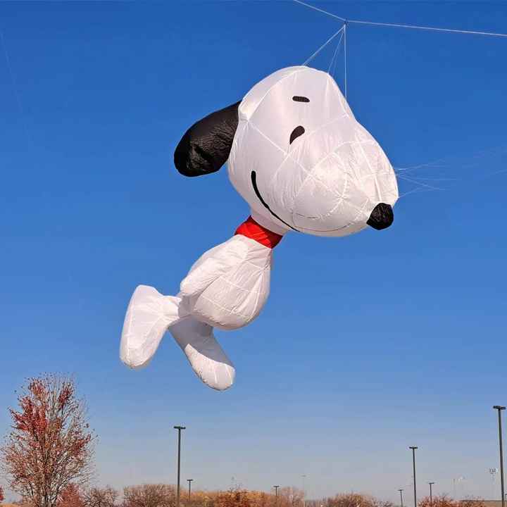 Giant Flying Inflatable Dragon Kite Large Soft Pendant Inflatable Kite ...