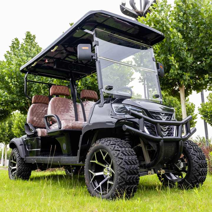Mini Golf Car 2025 New High-end Custom Golf Cart 72V 4 Seater Luxury ...