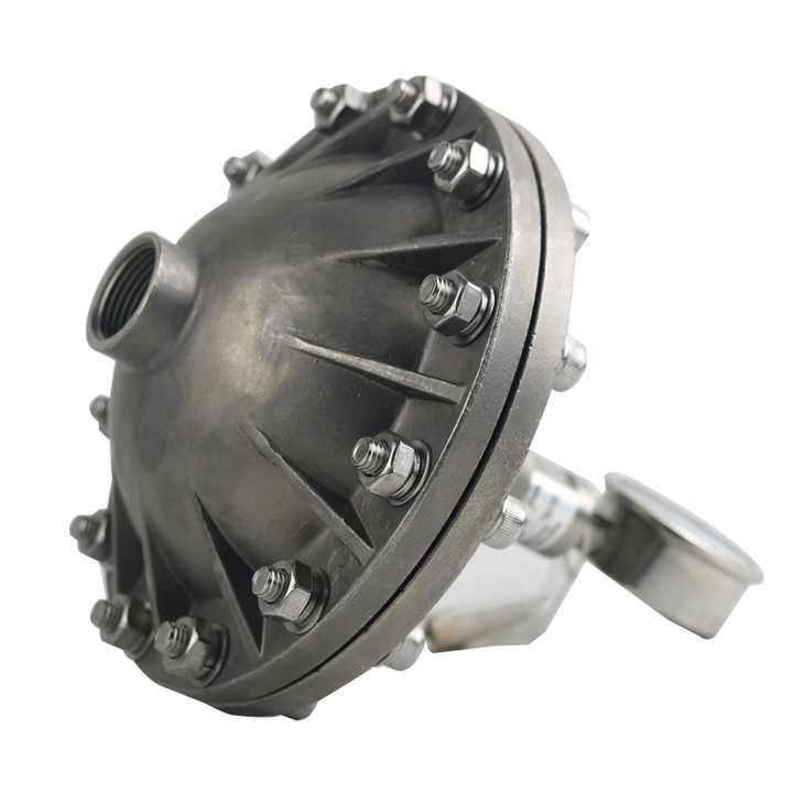 SS304 DN25 1.0L Diaphragm Type Pulsation Damper for Dosing Pump ...