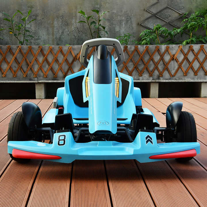 Personal Version Adult Go Kart - Electric Fun for Sale