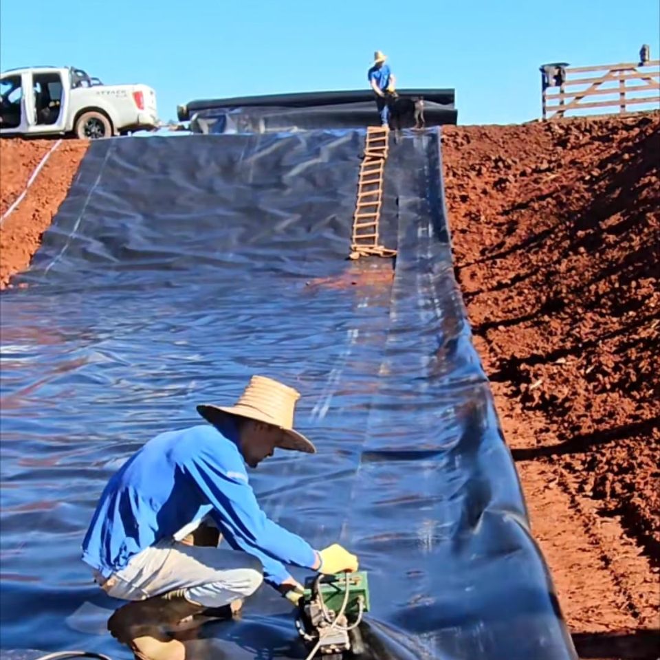 Factory Price HDPE Sheet Geomembrane Industrial Design Anti-UV Fish ...