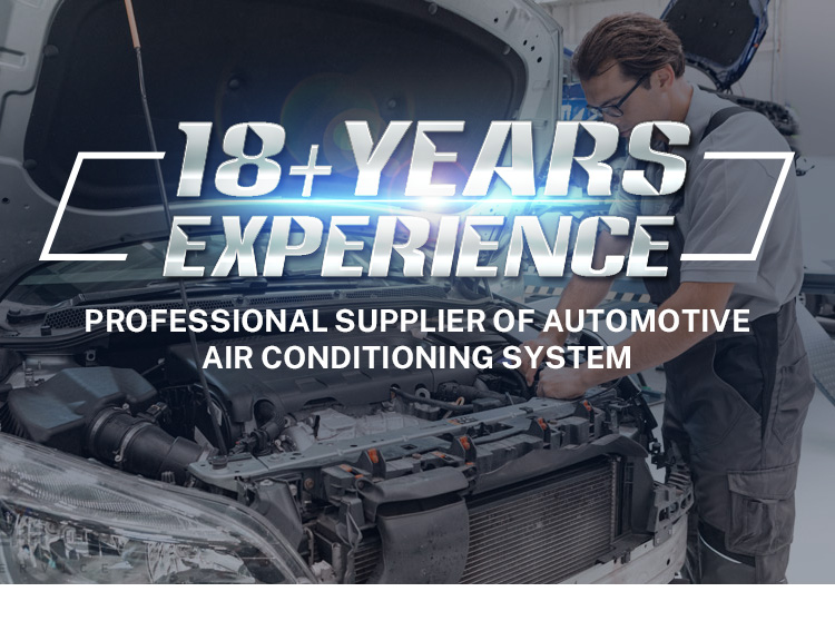 AC A/C Rear Evaporator Cooling Core For MERCEDES BENZ MERCEDES-BENZ ...