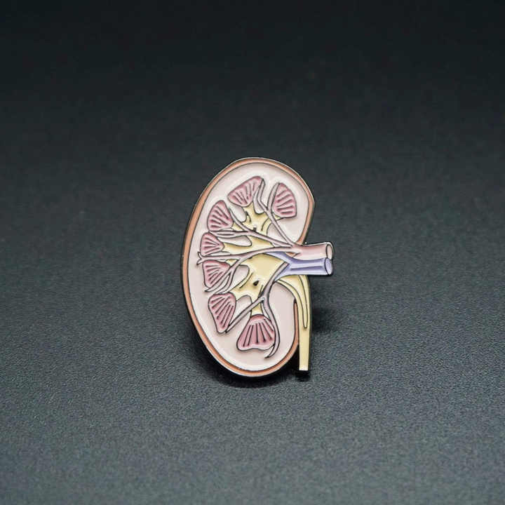Custom Wholesale Human Organ Kidney Medical Hard Enamel Lapel Pin ...