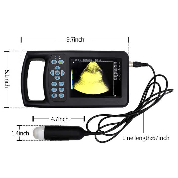 Portable Veterinary Ultrasound Scanner for Animal Pregnancy