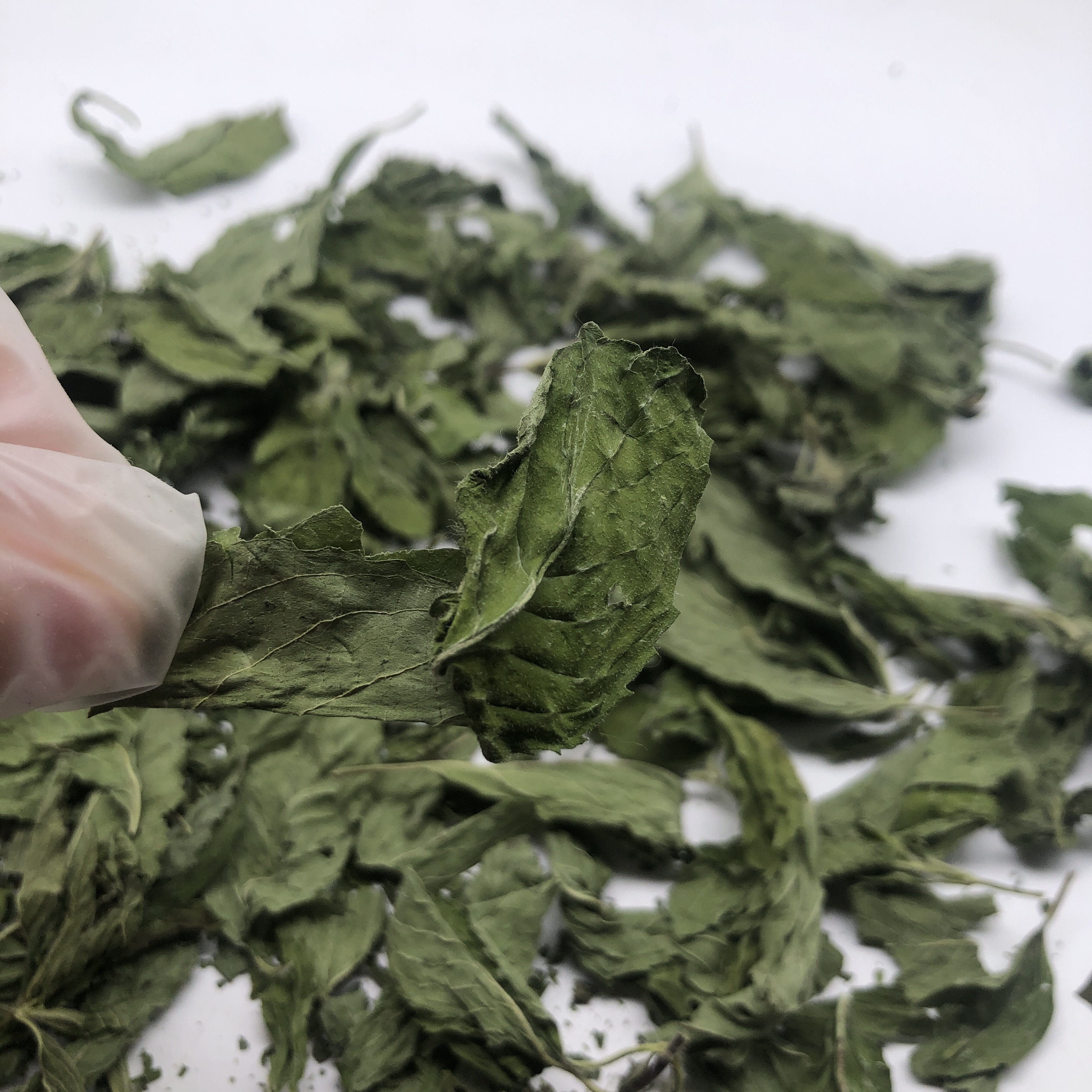 Spearmint Tea - Pure Dried Loose Leaf Health Tea