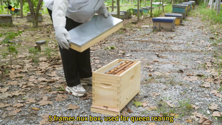 Bee Queen Rearing Nuc Box 5 Frames Queen Breeding Hive Wooden Nuc Boxes| Alibaba.com