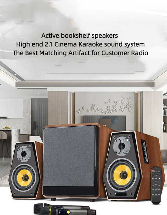 High Quality 2.1 Surround Sound Home Theater System Active Passive ...