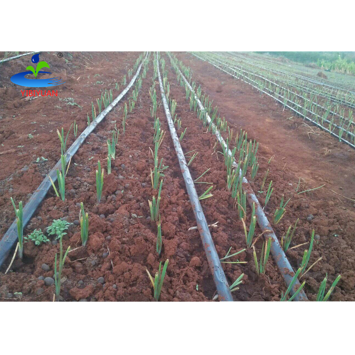 Custom Drip Irrigation System for Farms - Water Efficient