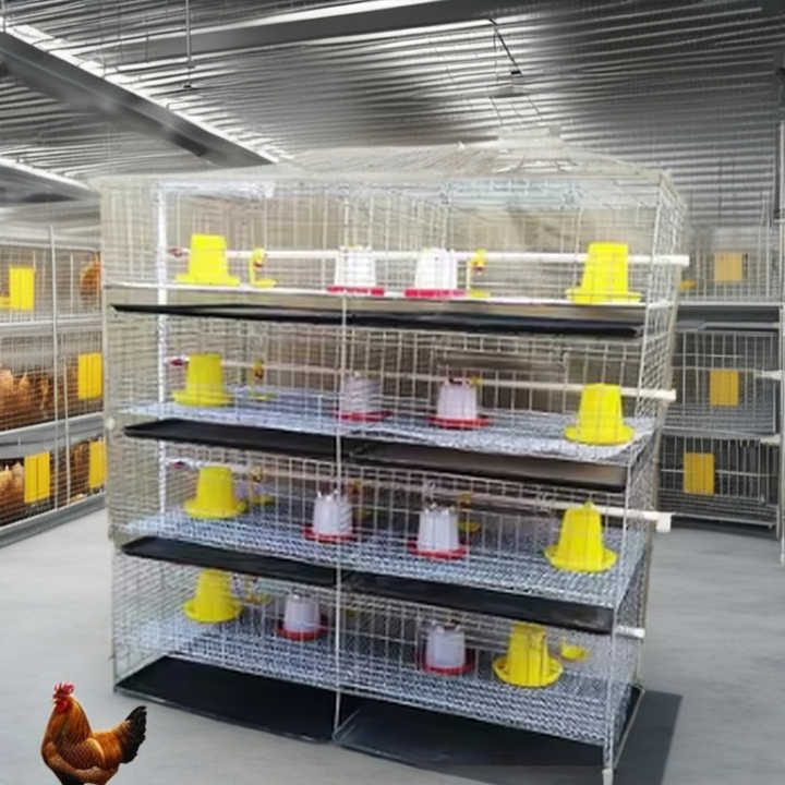 Brooder Chicken Cages H Type 90-240/120-320 Birds 3/4 Tiers Automatic ...