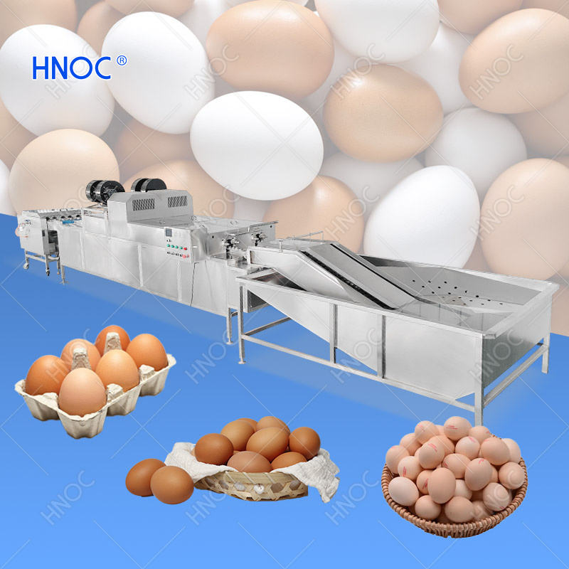 HNOC Industrial Duck Egg Washer Machine Quail Egg Clean Machine Egg ...