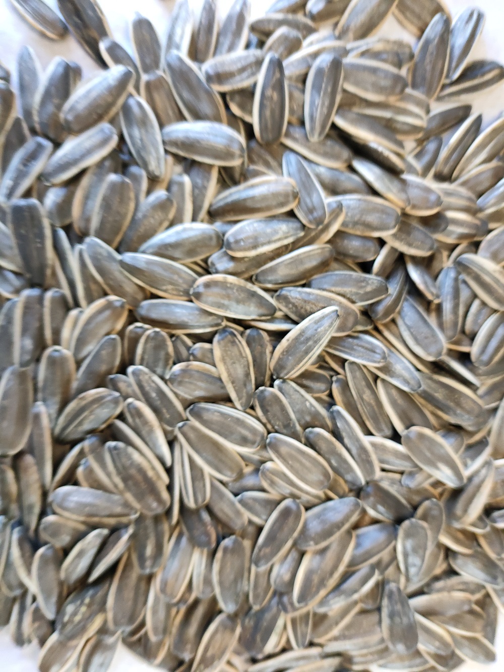 How to Choose the Best Seeds for Consumption: A Complete Buying Guide
