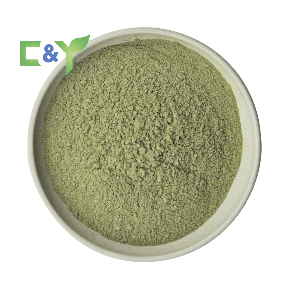 How to Choose the Best Sari Spinach Powder: A Complete Buying Guide