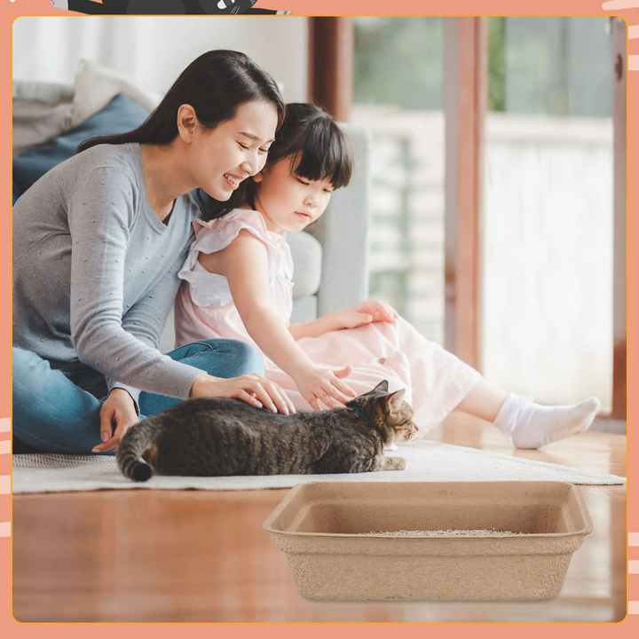 Customizable Recycled Paper Pulp Cat Litter Box Trays