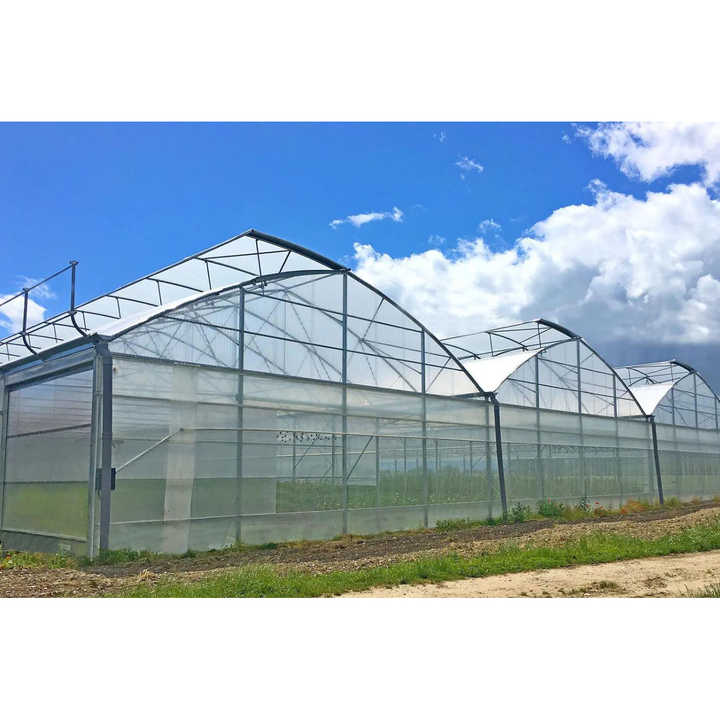 Acenter Greenhouse - High Tunnels for Tomato Plant Farming