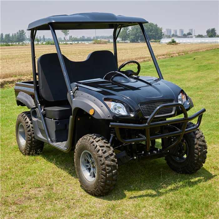 Customizable 10kw Electric UTV 4x4 Dual Motor Adult Leisure ...