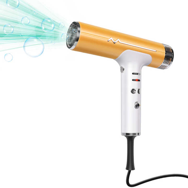 Professional Hair Blow Dryer Super High Speed BLDC Ionic Hair Dryer ...