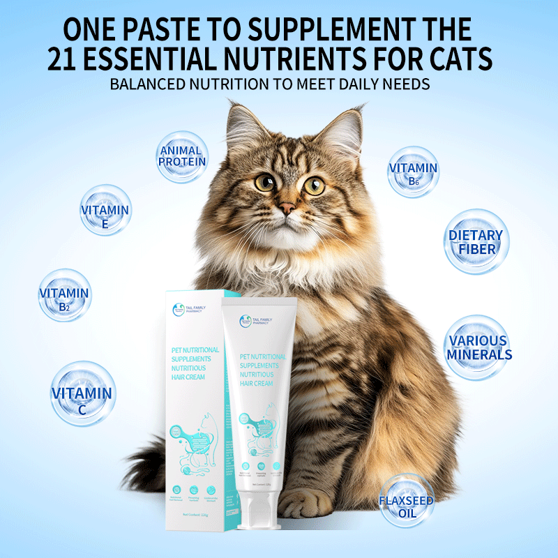 Gentle High-Protein Paste Chicken Beef Powder Dogs Cats Fast Absorption ...
