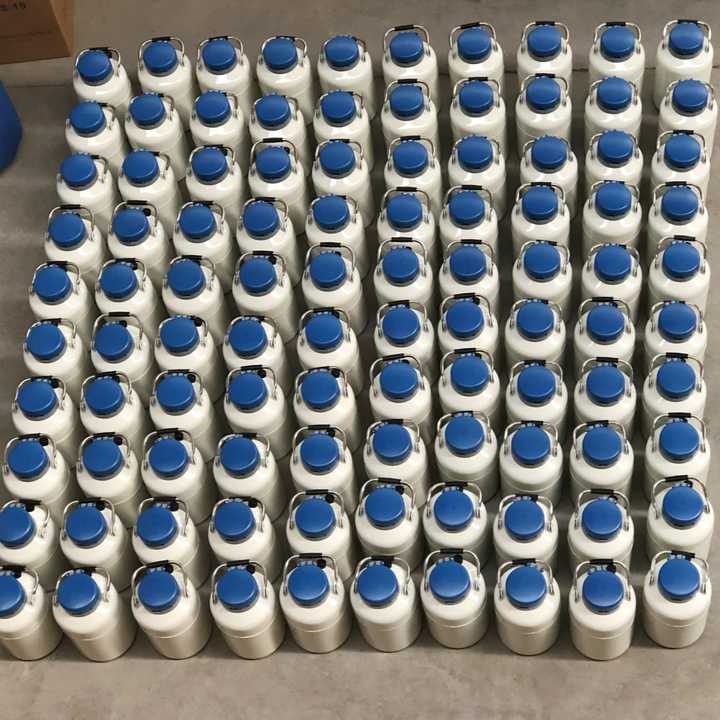 Vapor-Phase Storage Liquid Nitrogen Tanks All YDH-15-216 15L Dry ...