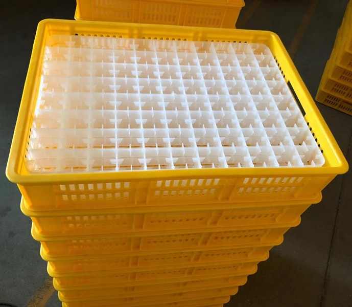 Yellow Colour Hatch Box - Chick Transport for Incubators