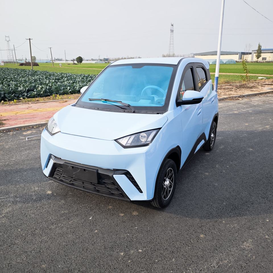 1000W Electric Vehicle - 100km Range Mini Car from China