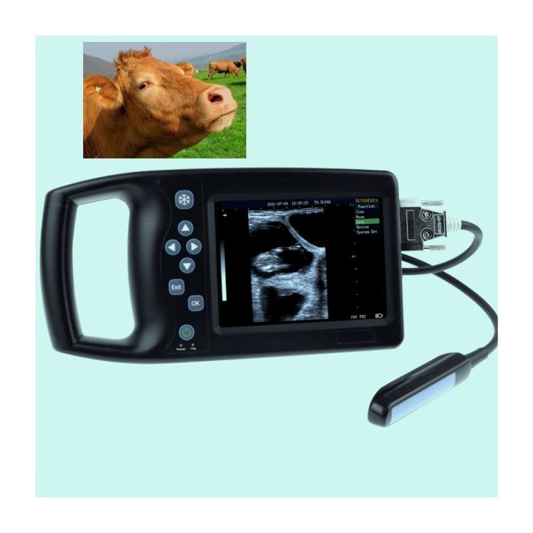 Veterinary Ultrasonic Diagnosis Instrument for Farm Animals Efficiently ...
