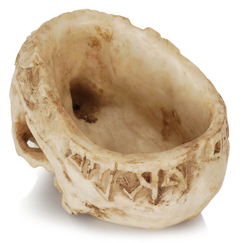 How to Choose the Best Skull Plant Pots for Your Space