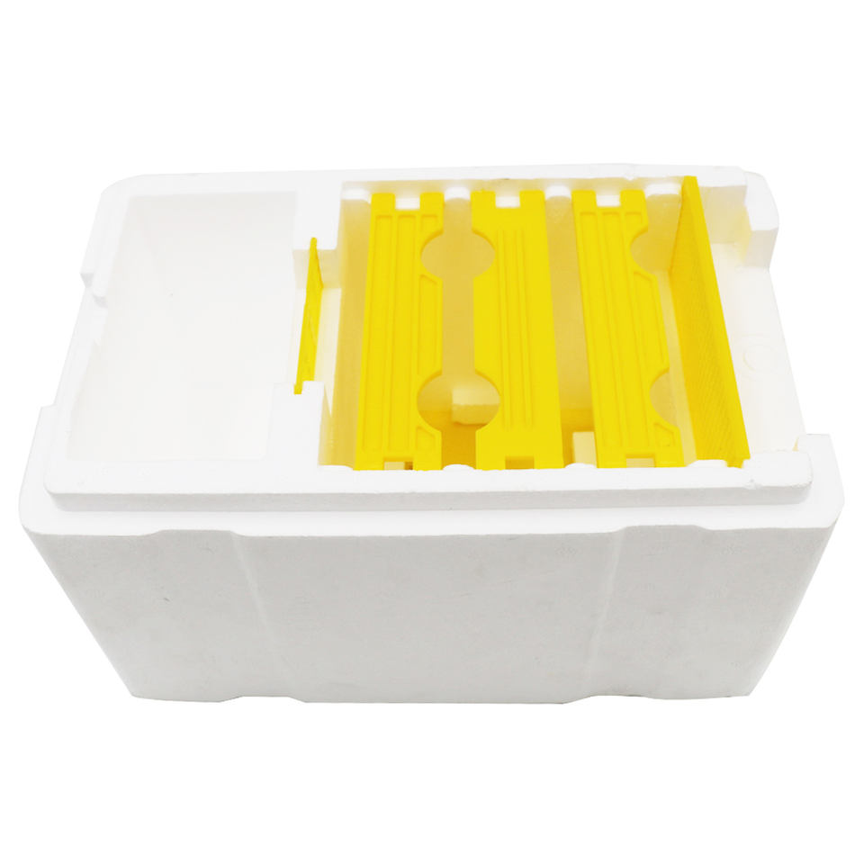 Foam Bee Box Plastic Bee Mating Hive for Bees Queen Breeding Box ...